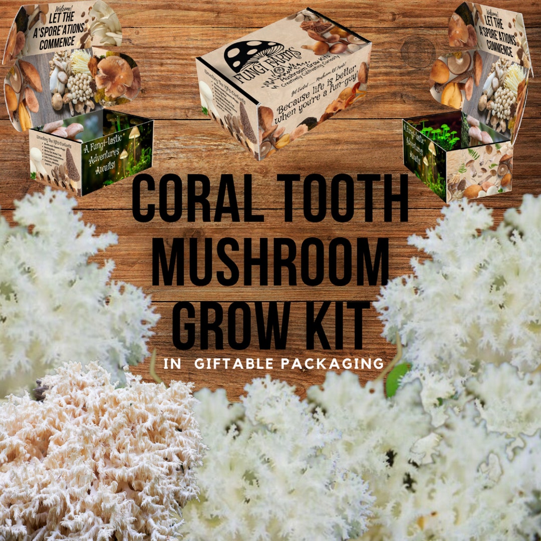Coral Tooth Mushroom Growing Kit - Hericium Coralloides - DIY Spawn ...