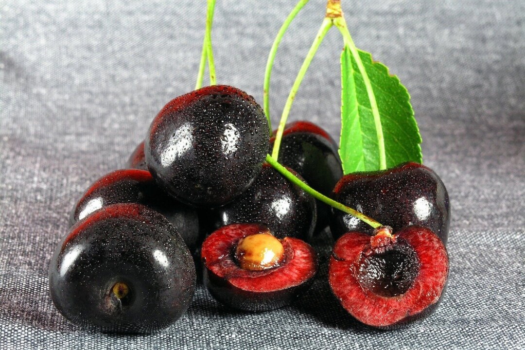 Black Cherry - Prunus Serotina - Rare 'fruit' Seeds - Wild Cherry ...