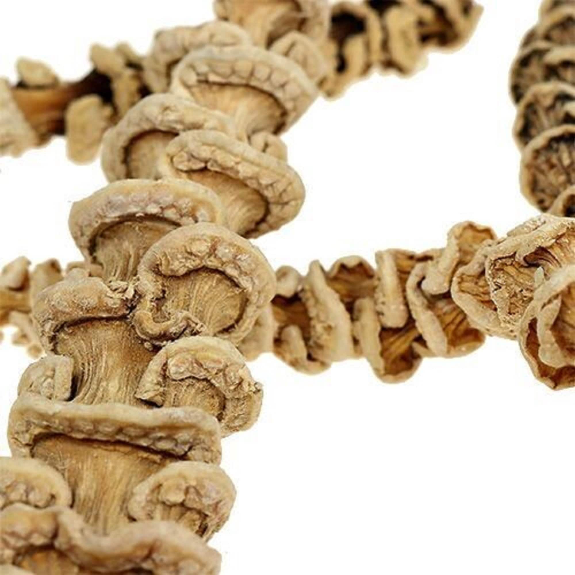 Banana Wood Branch - Musa Spientum - Brown Dry Bark - Terrarium ...