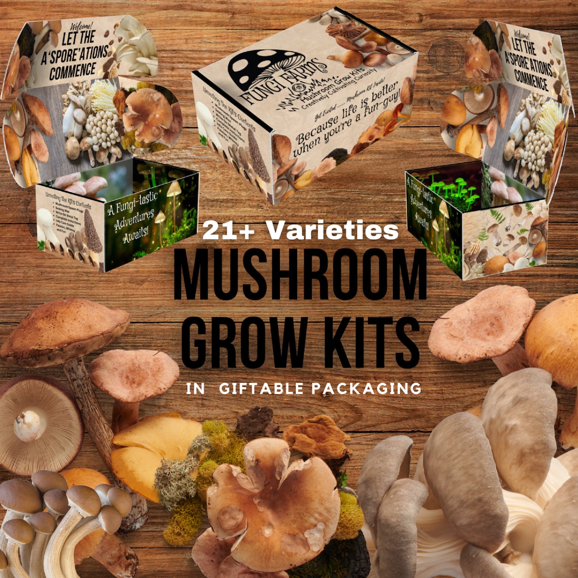 Snow Fungus Mushroom Growing Kit - Tremella Fuciformis - DIY Spawn ...