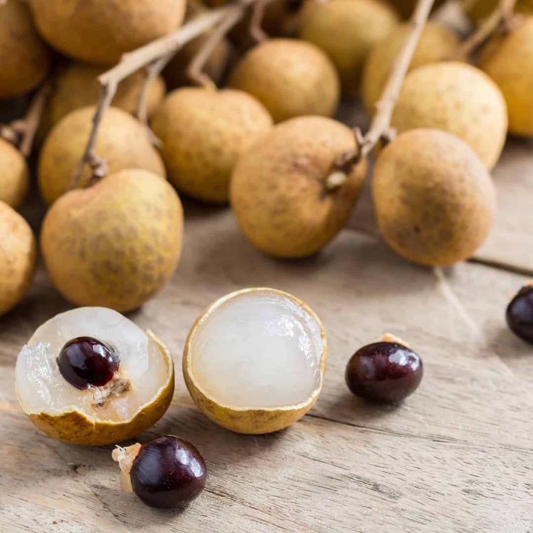 Fruta Longan / Olho de Dragão - Dimocarpus longan - Sementes de 'Fruta ...