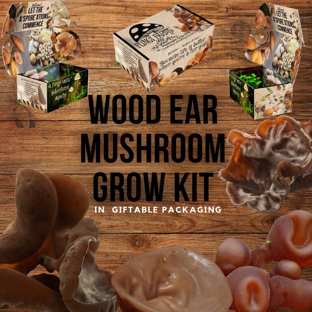 Wood Ear Mushroom Growing Kit - Auricularia Auricula-judae - DIY Spawn ...