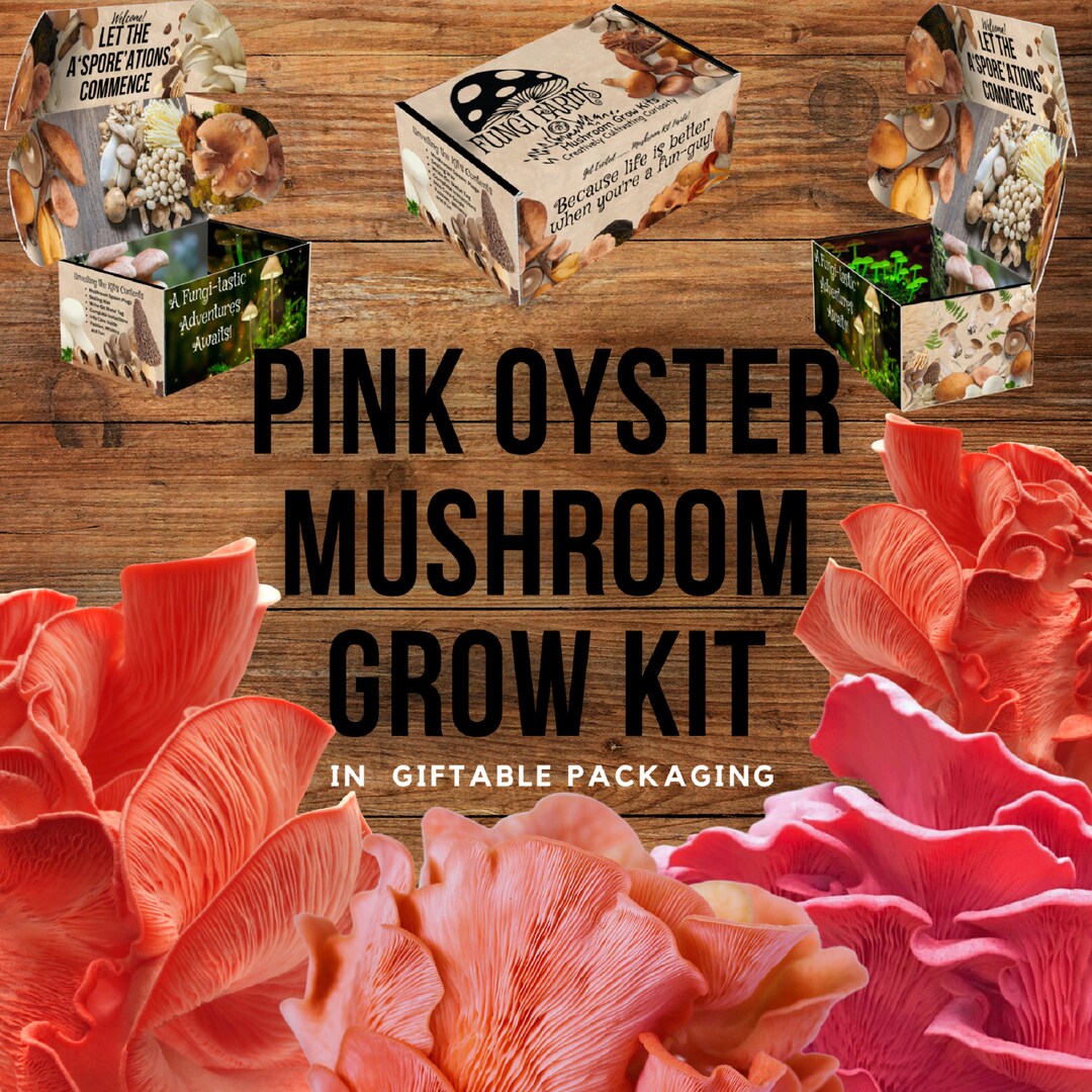 Pink Oyster Mushroom Growing Kit Pleurotus Djamor Diy Spawn Spore Plugs