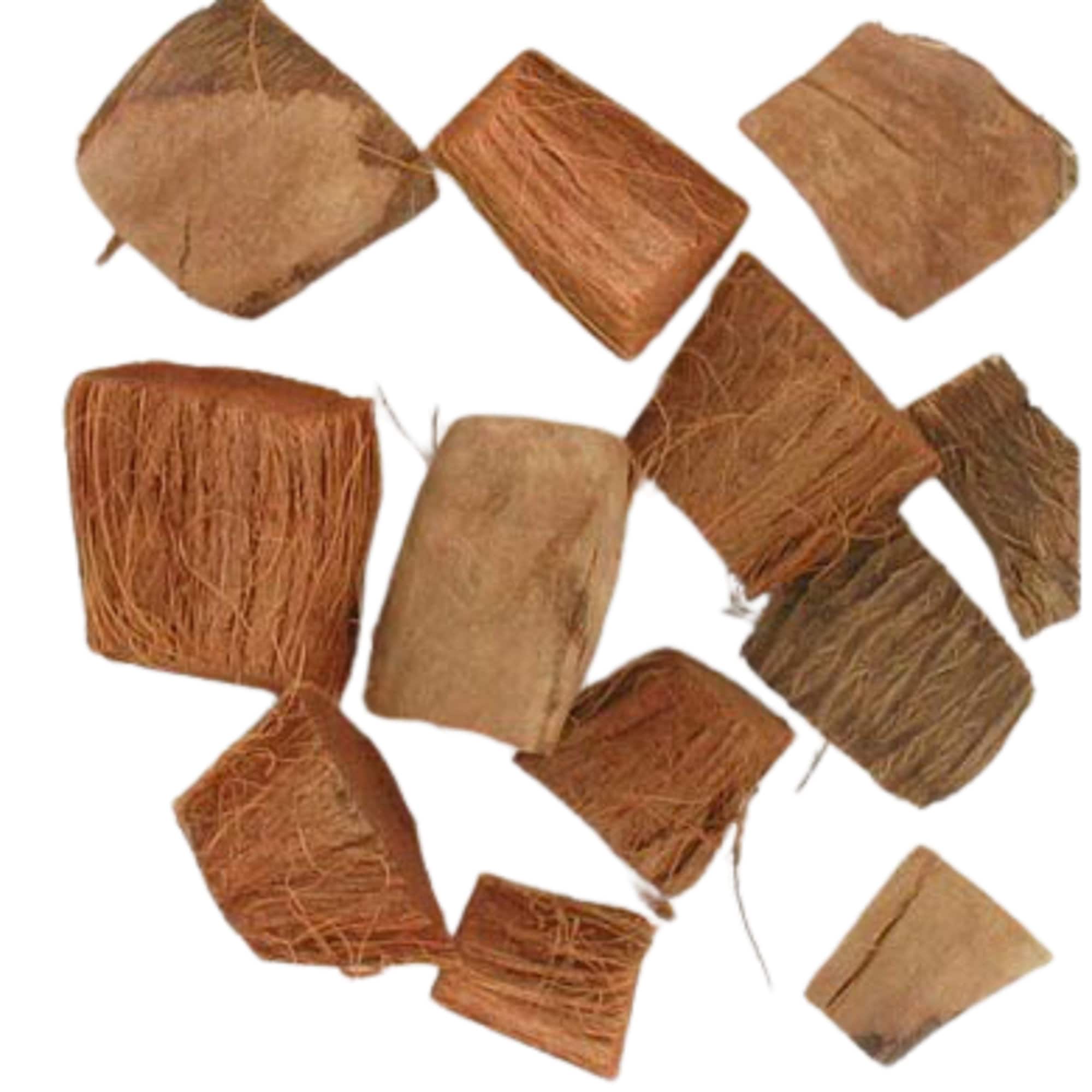 Diced Coconut Husk Coco Nucifera Terrarium Grounds Tree Slices ...