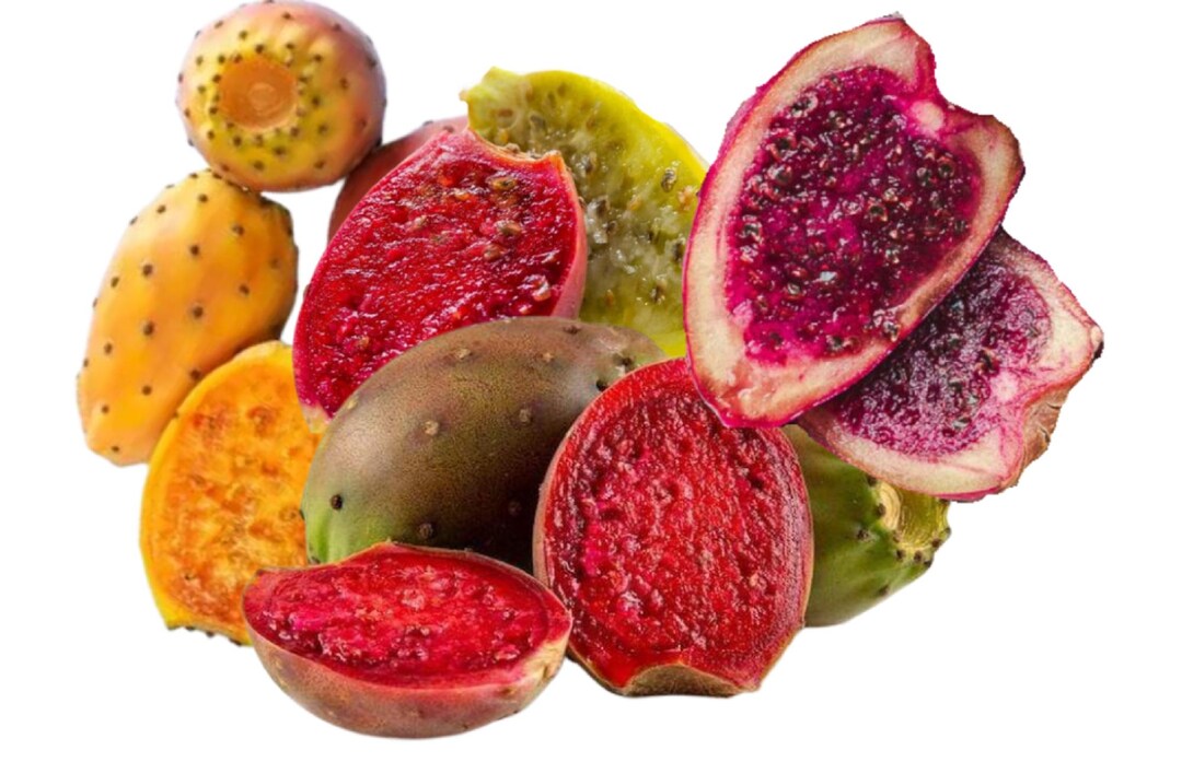 Mixed Rare Prickly Pear - Stenocereus Spp. - Rare 'fruit' Seeds - Etsy ...