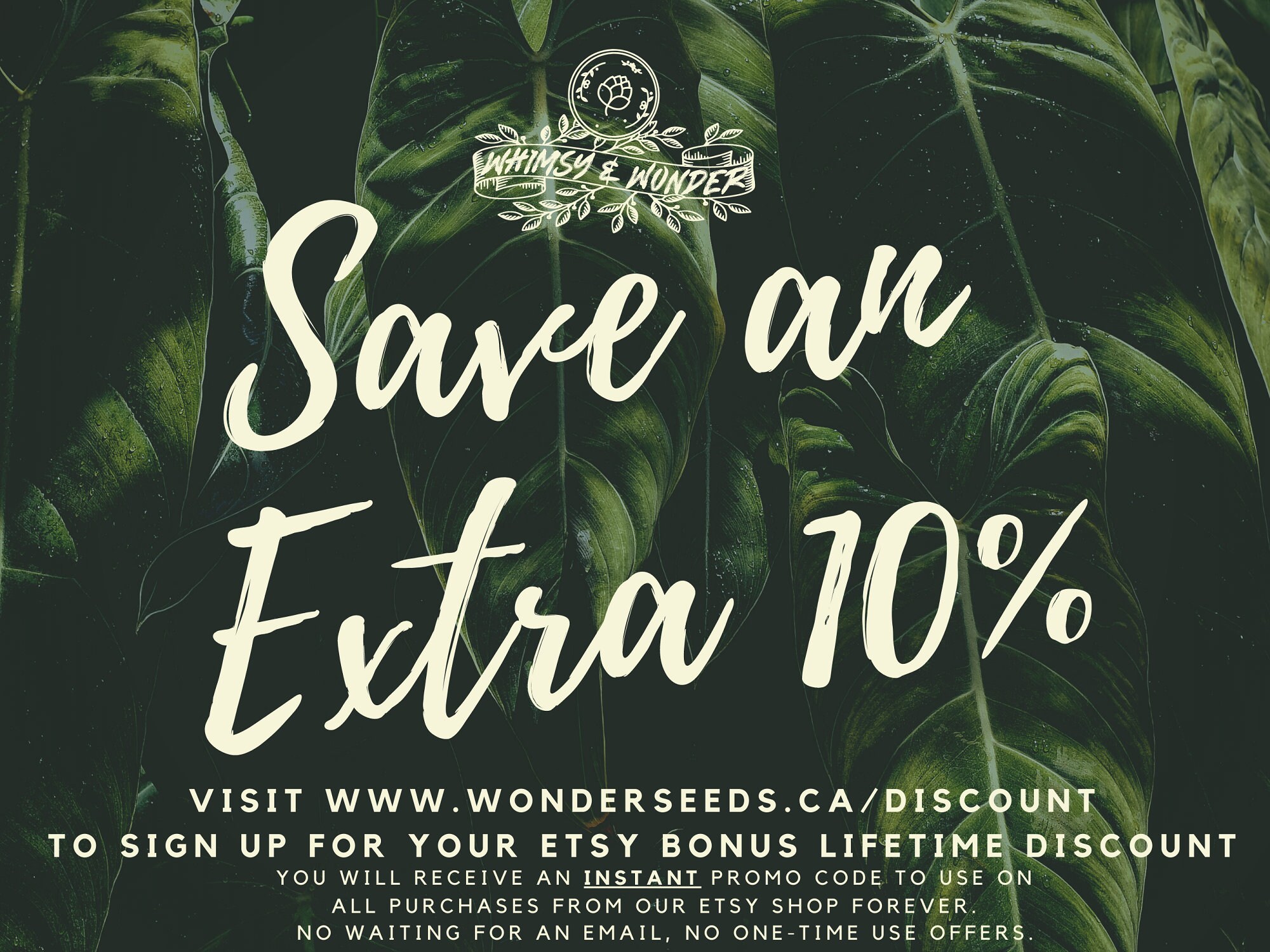 Chinese Peer / Ussurische Peer Pyrus ussuriensis Zeldzame 'Fruit' Zaden ...