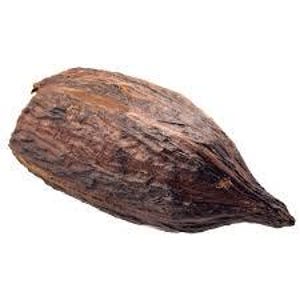 Cut Cocoa Pod (cocao Pod) - Dried Pod for Home Decor and Vivarium Decor ...