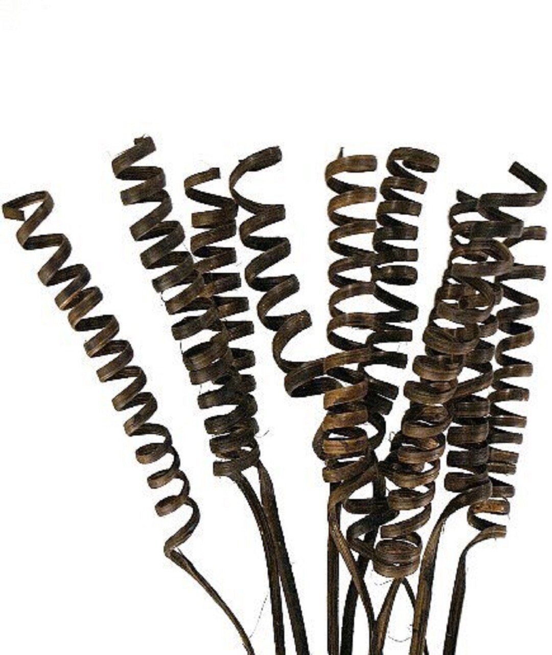 Cane Springs - Terrarium Decor - Beautiful Handmade Springs for ...