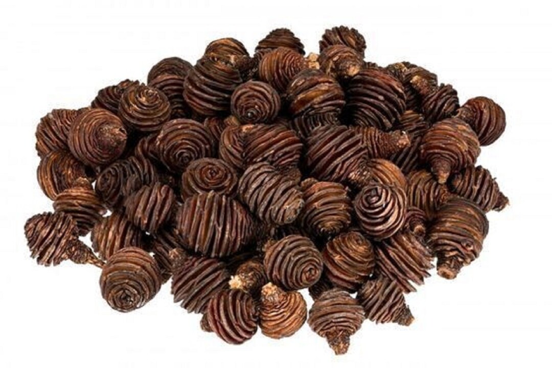 Jumbo Honey Pot Cone - More Versatile and Durable Then Other Cones ...