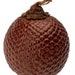 Snake Pod Laranja Nut is the Fruit of the Buriti Palm Buriti Fruit Skin ...