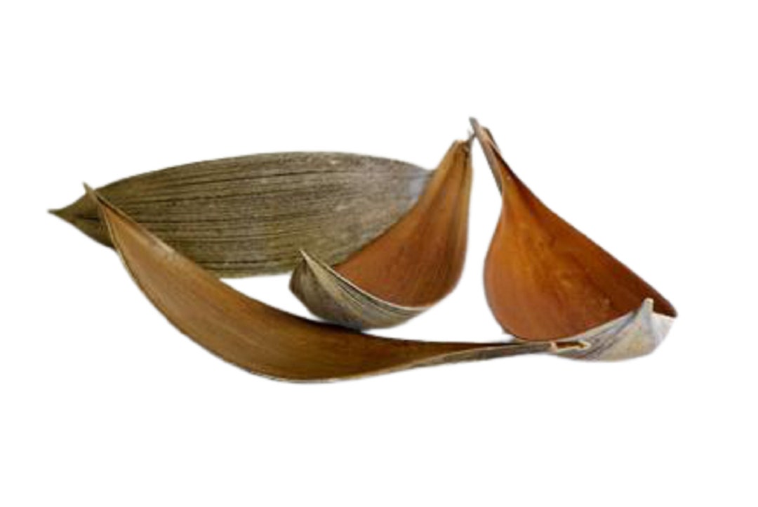 Coco Dish 17''-21'' - Coconut Pod Peelings - Stunning Show Piece ...