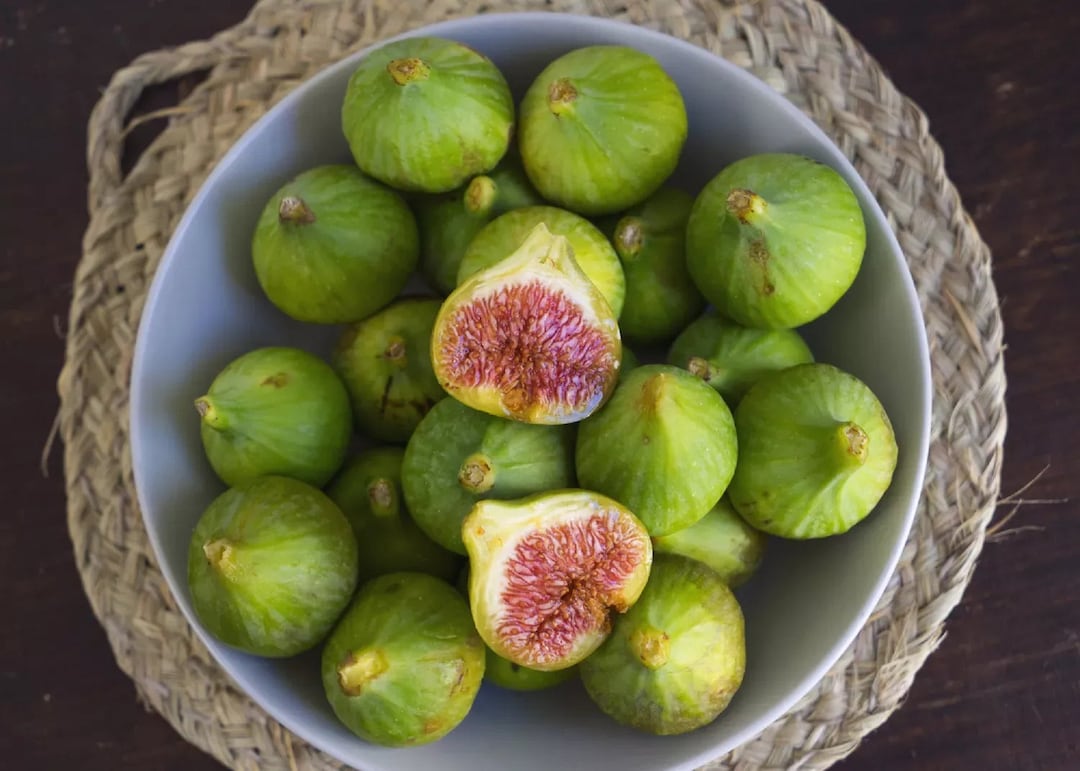 Buy Calimyrna Fig - Ficus Carica - Rare 'fruit' Seeds - Smyrna Fig ...
