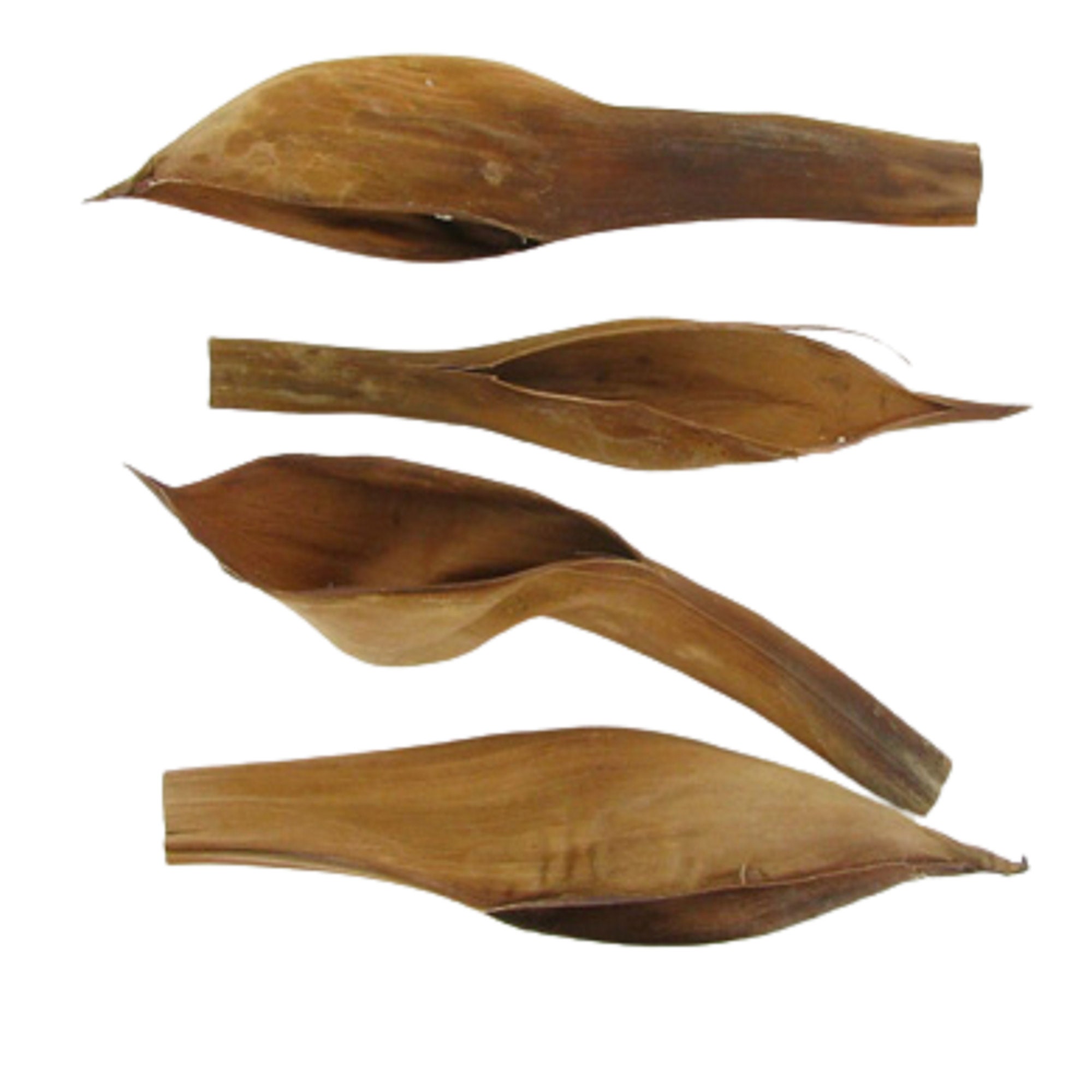 Atap Palm - Nipa Palm - Nypa Fruticans - Unique and Stunning Decor ...