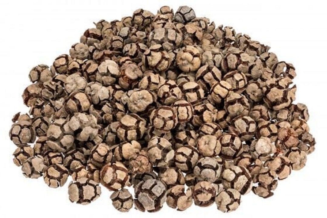 Cypress Cones - Small Decorative Cones - Cypress Cones Are Very Durable ...