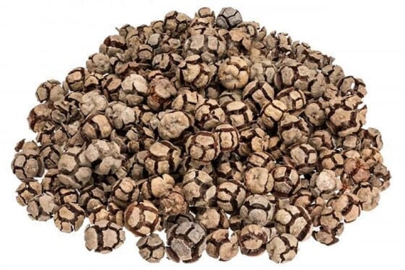 Cypress Cones - Small Decorative Cones - Cypress Cones Are Very Durable ...