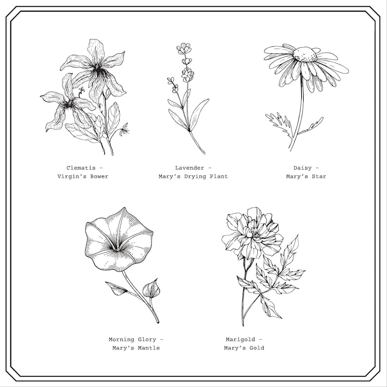 Mary’s Flowers - Etsy