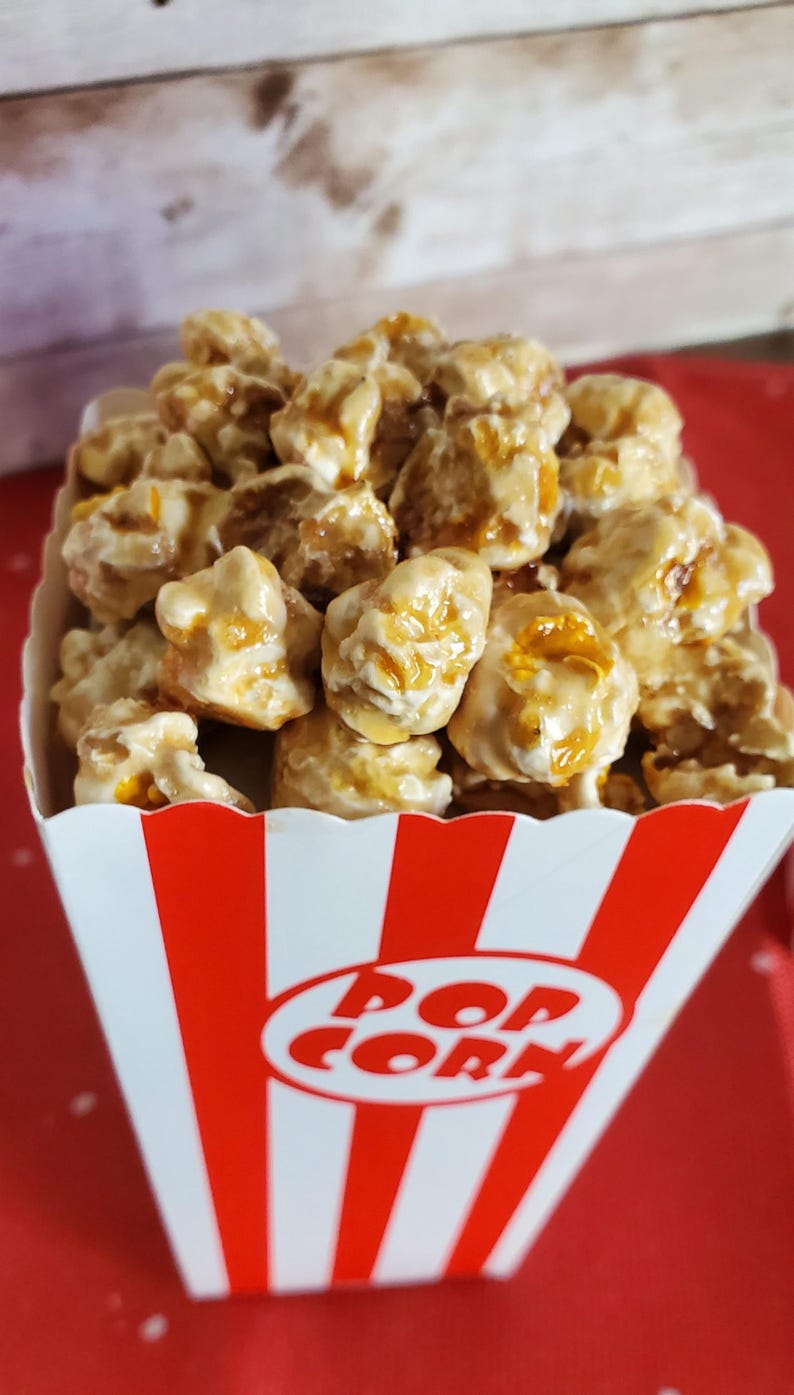 Faux, Fake, Movie Buttered or Caramel Popcorn Display, Prop ,fake Bake ...