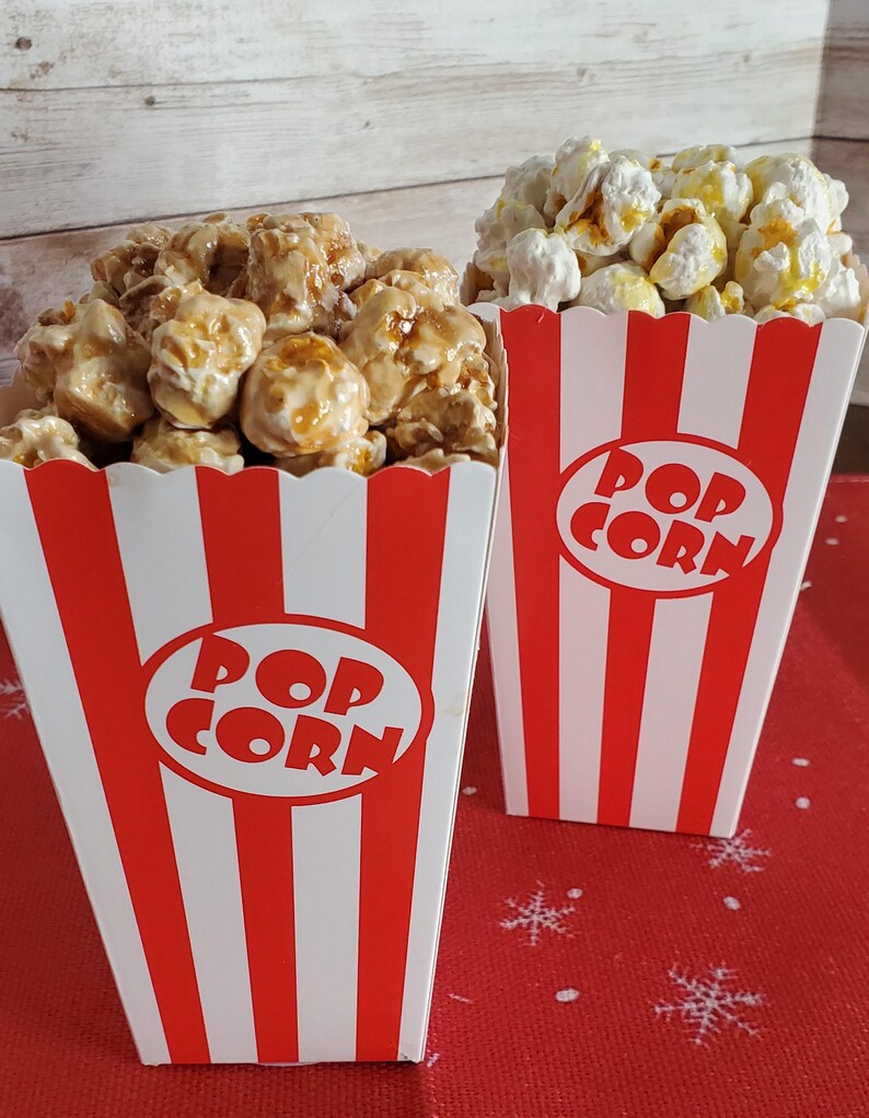Faux, Fake, Movie Buttered or Caramel Popcorn Display, Prop ,fake Bake ...