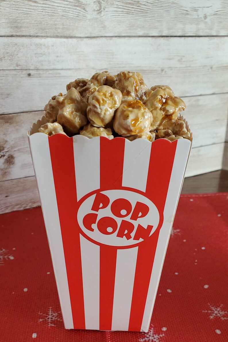 Faux, Fake, Movie Buttered or Caramel Popcorn Display, Prop ,fake Bake ...
