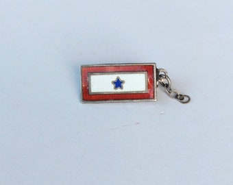 Blue Star Mother Pin - Etsy