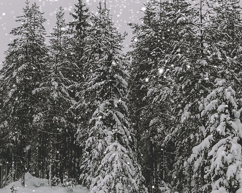 10 Animated Falling Snow Overlays Animated Snow Overlay Snow - Etsy