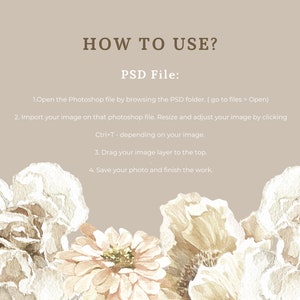 Champagne Overlays, Champagne Popping Overlay, New Year Party ...