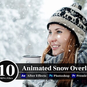 10 Animated Falling Snow Overlays, Animated Snow Overlay, Snow ...