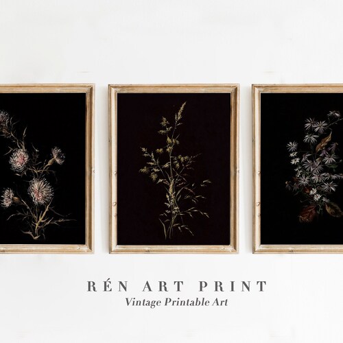 Dark Botanical Gallery Wall Art Moody Floral Print Set 3 - Etsy