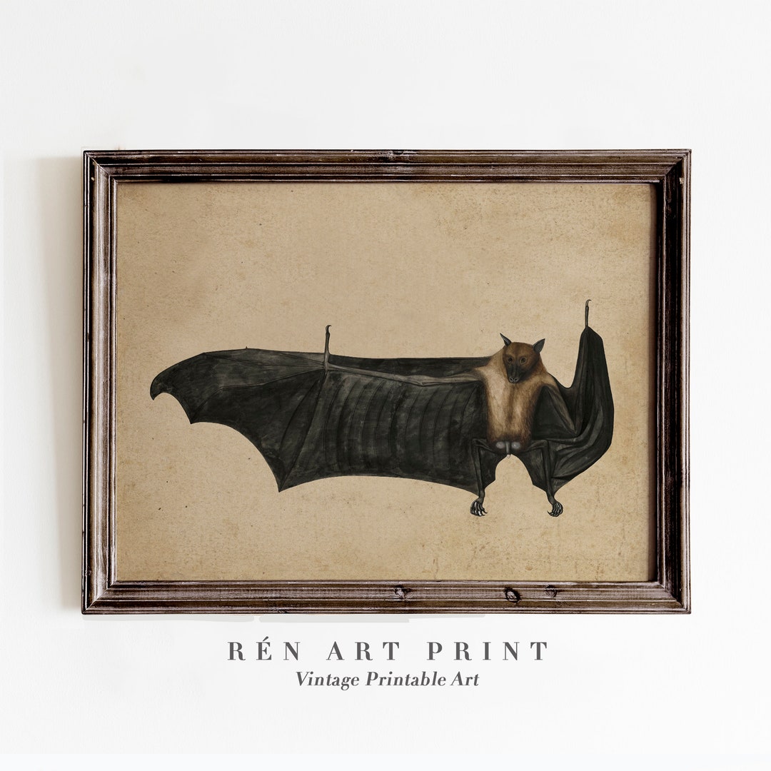 Antique Bat Painting | Digital Download | Vintage Gothic Wall Art | Bat ...