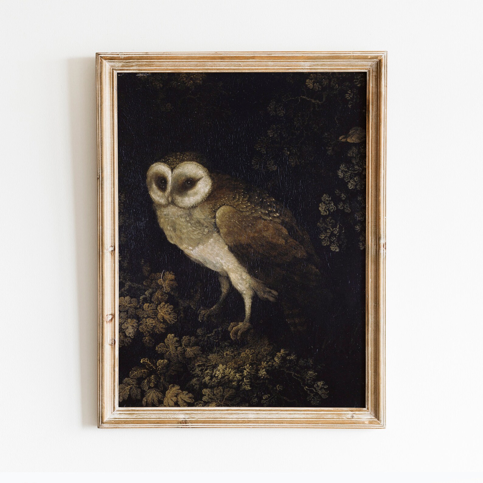 Dark Academia Gallery Wall Print Set Vintage Art Prints - Etsy