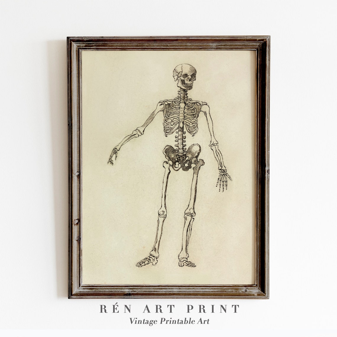 Skeleton Print Vintage Halloween Printable Wall Art Dark - Etsy