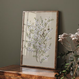 Antique Manuka Plant Painting | Digital Download | White Flower ...
