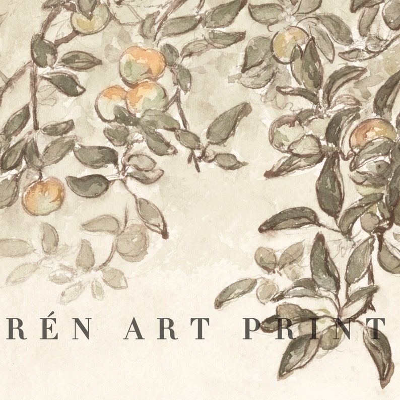 Vintage Apple Tree Sketch Print | Farmhouse Wall Art (digital Download ...