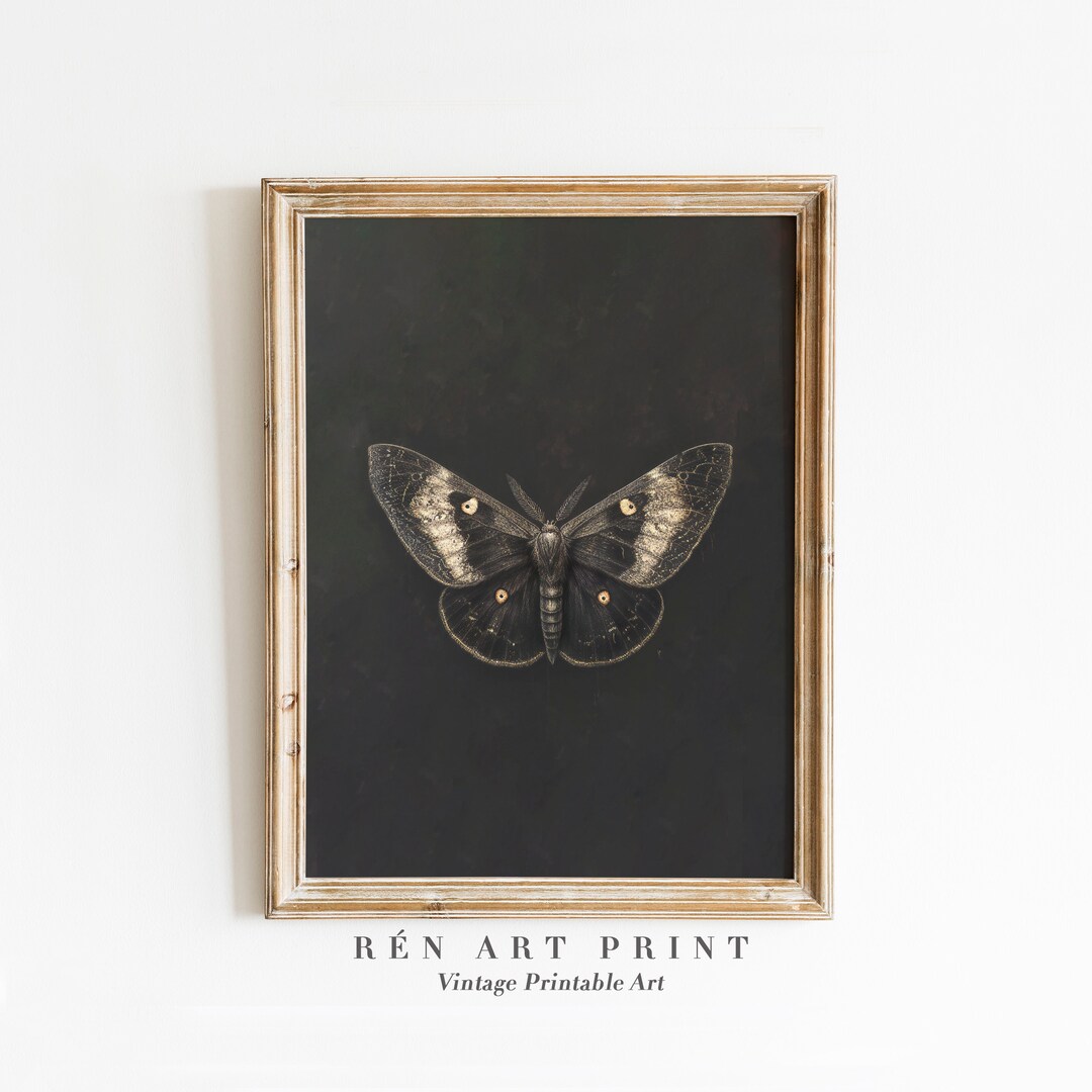 Vintage Black Butterfly Art Print | Gothic Printable Wall Art | Dark ...
