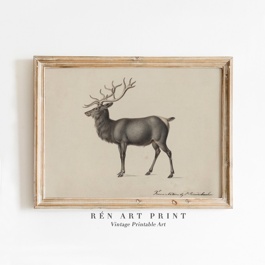 Vintage Reindeer Print | Rustic Christmas Printable Wall Art | Antique ...