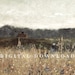 Antique Spring Gallery Wall Art Printable | French Country Prints ...