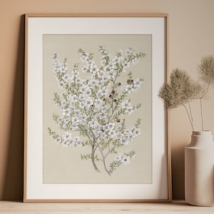 Antique Manuka Plant Painting | Digital Download | White Flower ...