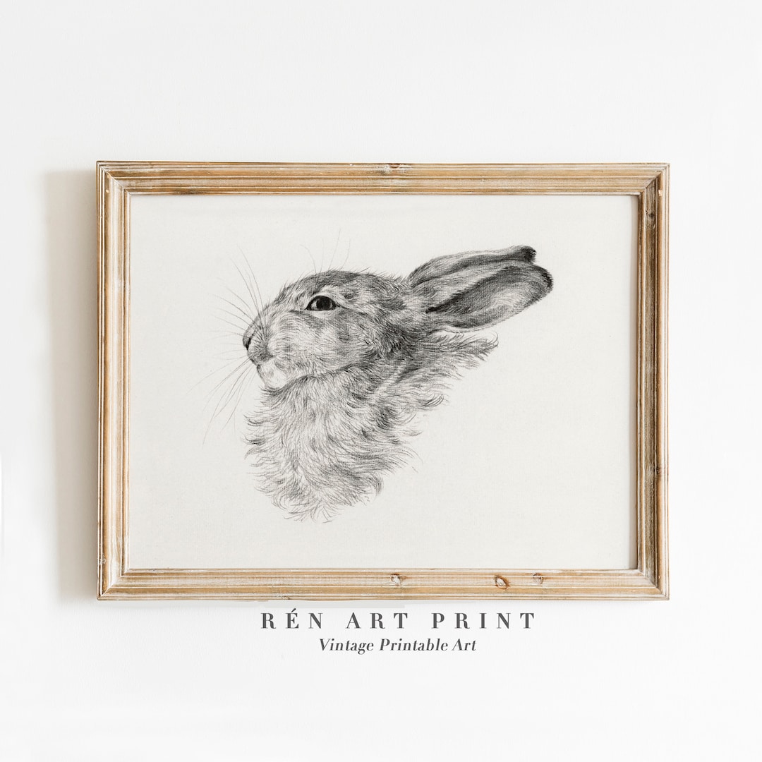 Antique Rabbit Sketch Digital Download Vintage Neutral Bunny Wall Art ...