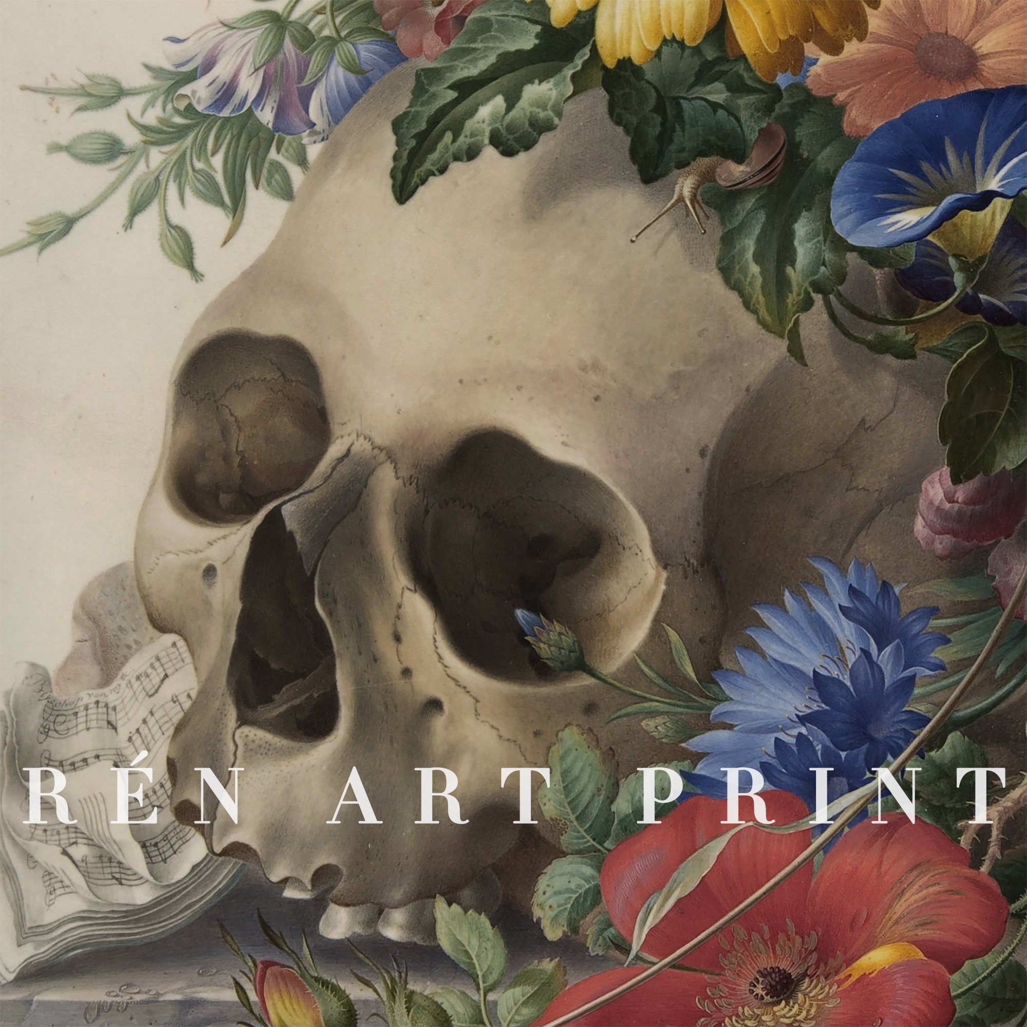 Antique Skull Art Print Vintage Gothic Still Life Painting - Etsy
