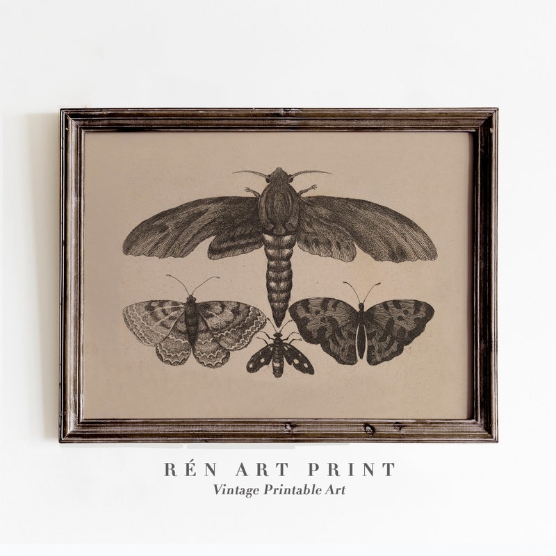 Butterfly Drawing 8x10 - Etsy