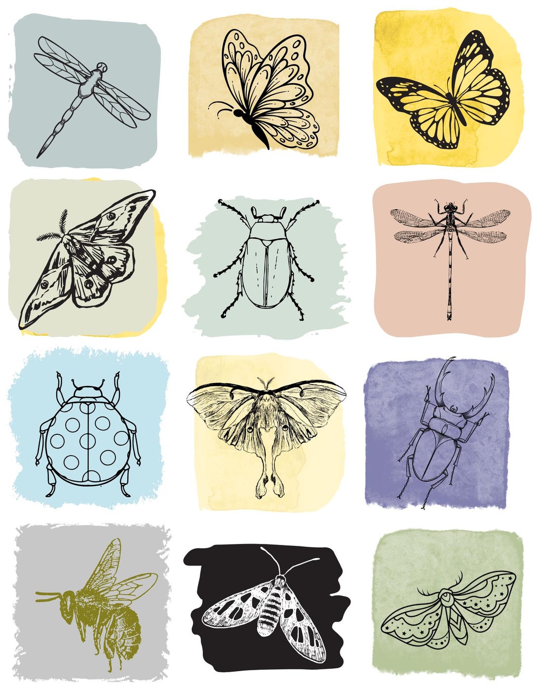 Insect Gift Tag Instant Digital Download, 12 Insect Gift Tags, Gift ...