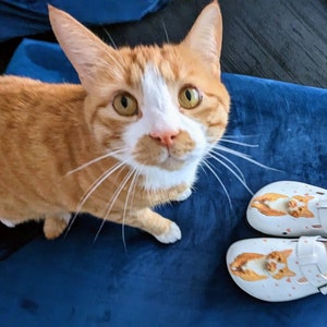 BLACK CAT Themed Comfortable Women's Clogs, CAT Lovers, Cat Lover Gifts ...