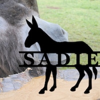 Rustic Farmhouse Donkey Wooden Sign, Watercolor Donkey Home Decoration ...