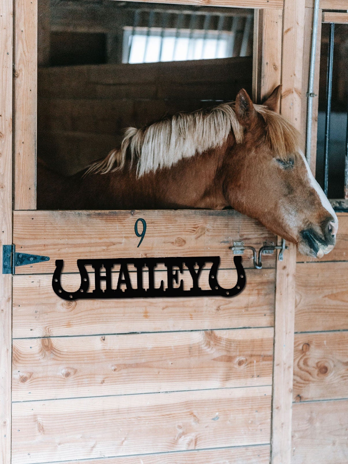 Personalized Horse Stall Name Plate Horse Stall Sign Horse - Etsy