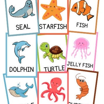 Sea Life Flashcards, Educational Flashcards, Home Education Resources ...