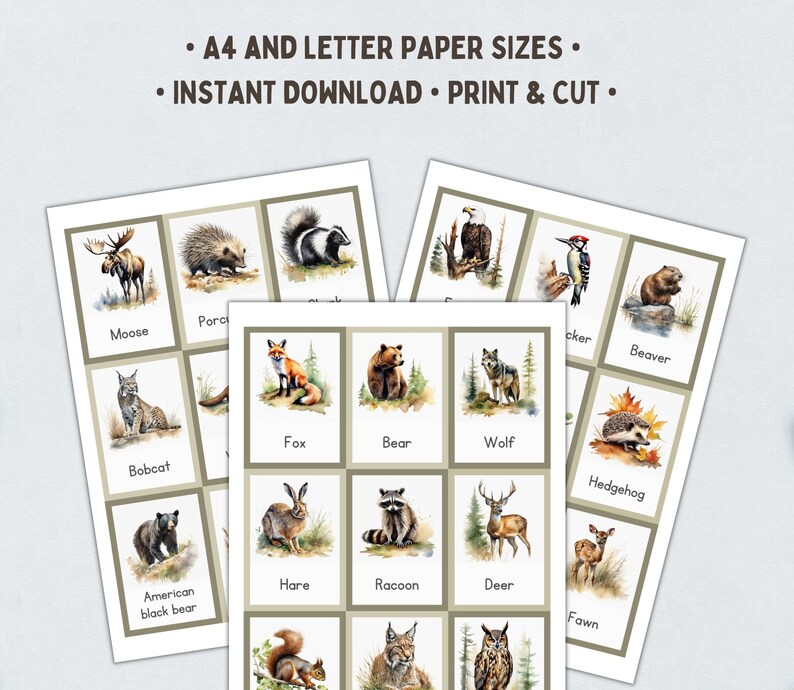 Woodland Animals Printable Flashcards. 27 Forest Animals - Etsy