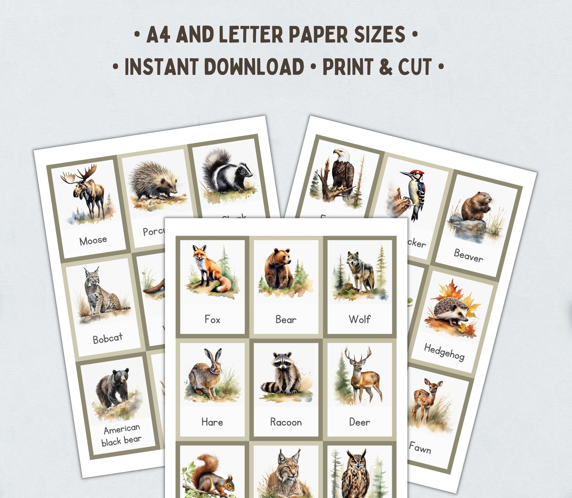 Woodland Animals Printable Flashcards. 27 Forest Animals - Etsy