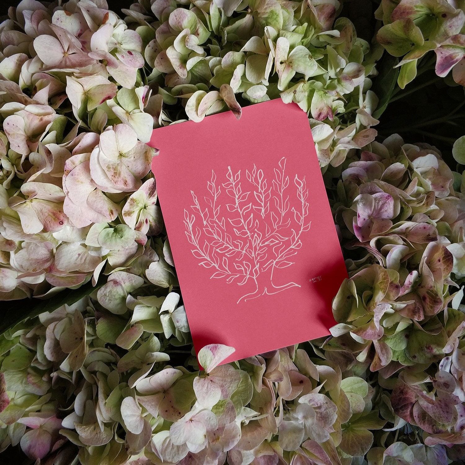 Matisse Tree Le Platane the Plain Tree 1951 Serigraph - Etsy