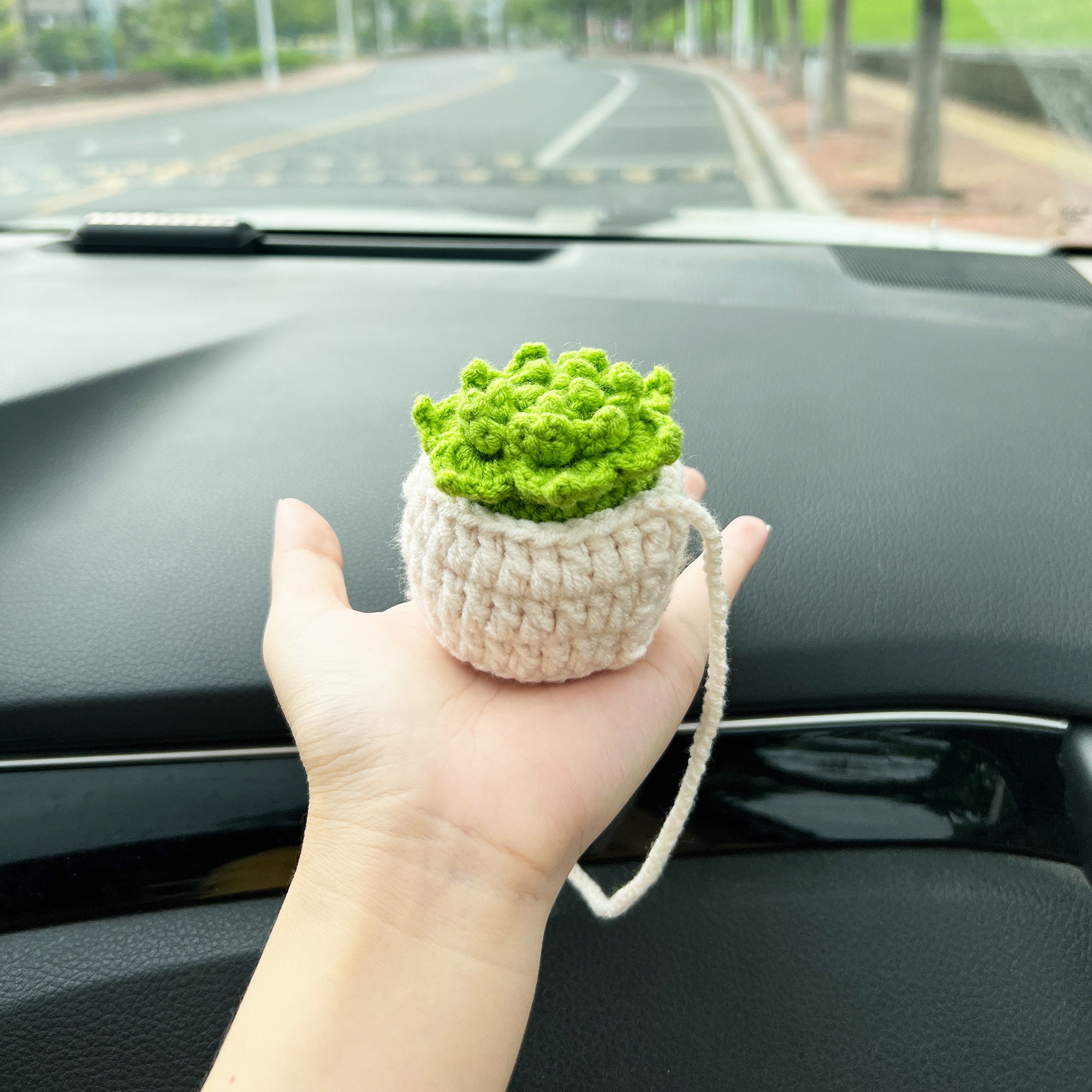 Car Plant Crochet Plants Hanging Crochet Succulent Car - Etsy