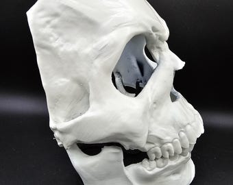 Human Skull Mask Full Face Realistic Movable Jaw Halloween Custom ...